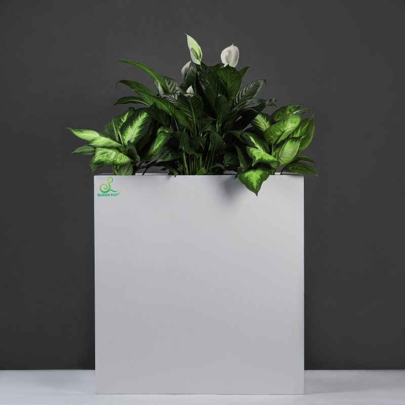 CHẬU COMPOSITE QUEEN SQUARE POTS QP-2827 - queenpot
